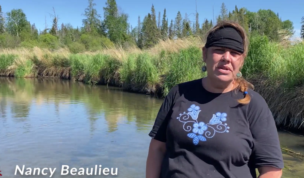 The Impact of Illegally Killing a Red Lake Bear and Water Protectors ...